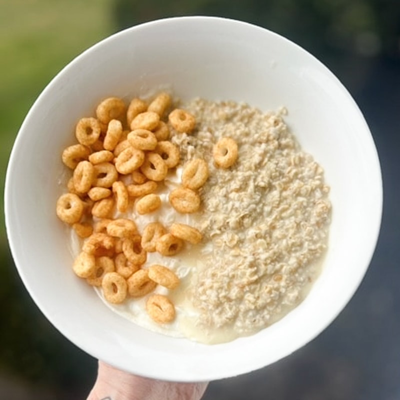Low Point Yogurt and Oatmeal Bowl - Ashley Tracks | Healthy, Quick ...